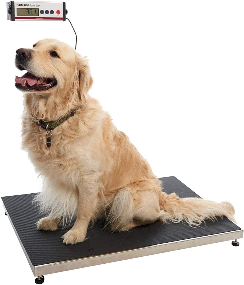 Ornibural 100ml | Shopivet