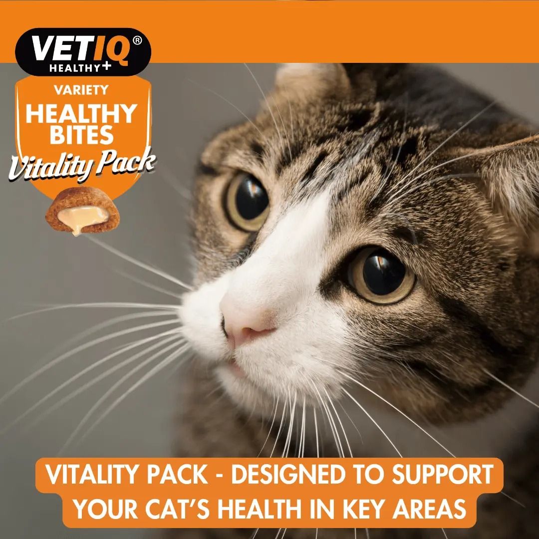 VETIQ Healthy Bites Variety Vitality Pack Cat Treats 4 x 65g
