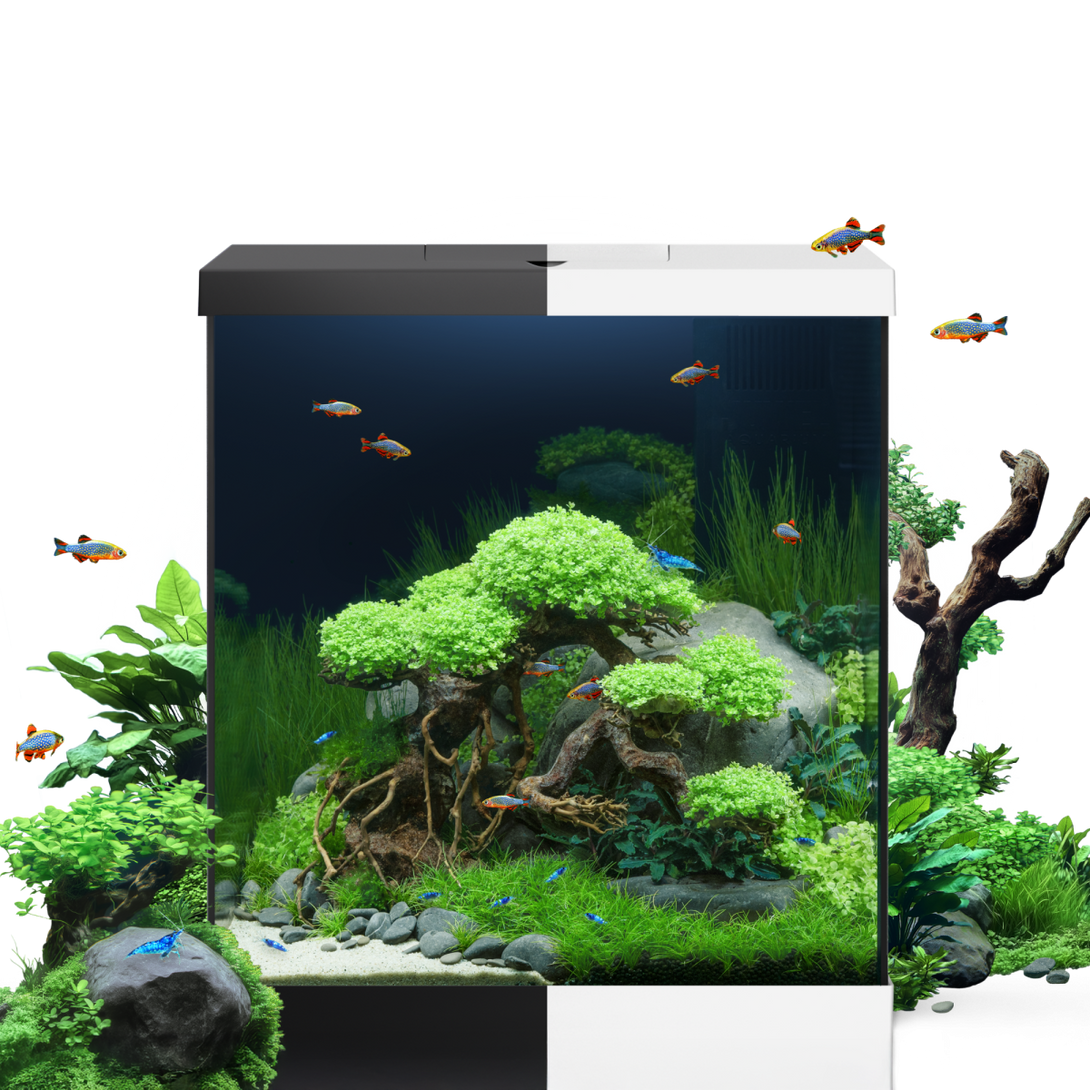 Vio Cube 54 White