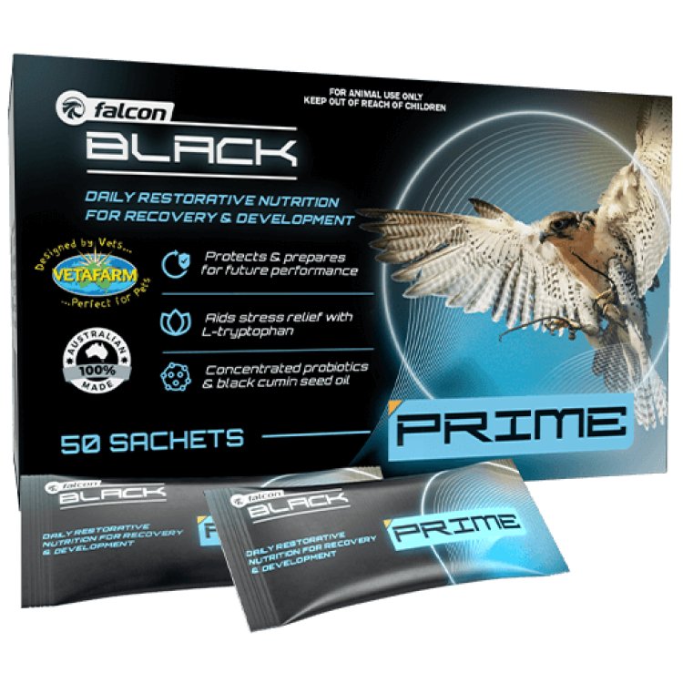 Falcon Black Prime 50 sachets | shopivet
