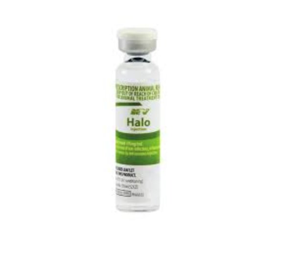 Halo injection for Joints (Hyaluronic Acid) 6ml | Shopivet