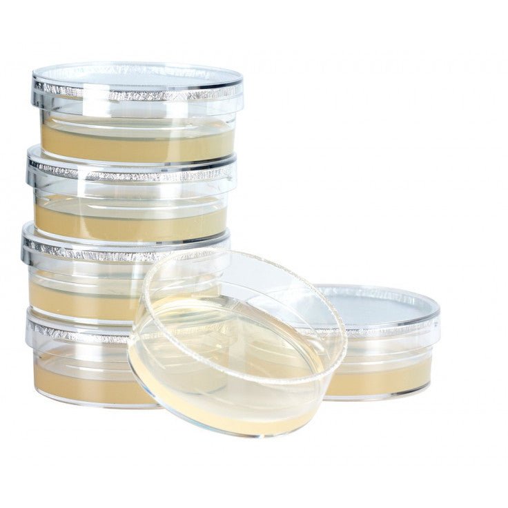 Medium for fungal cultivation | Shopivet