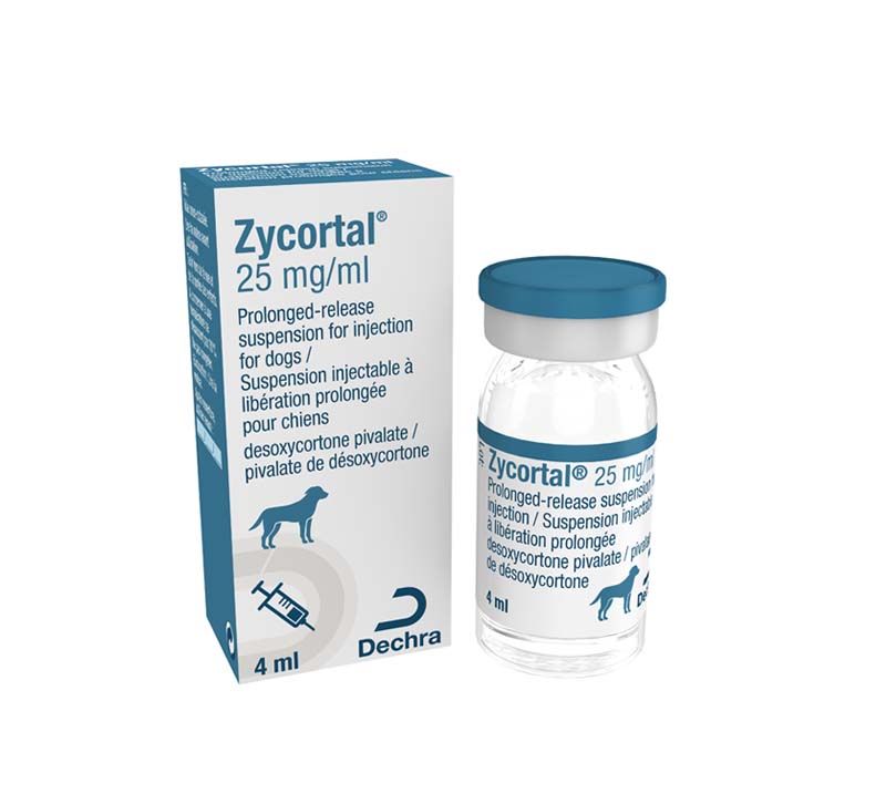 Zycortal® Suspension 4 ml | Shopivet